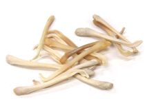Deformed Hinge Joint Raccoon Penis Baculum Bone 2-3/4" to 4" #4